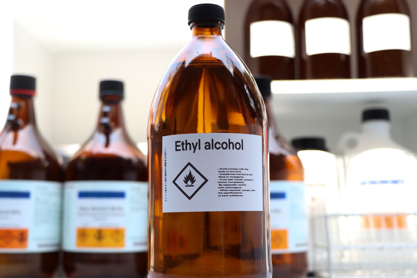 Everything You Need To Know About Agave Spirits